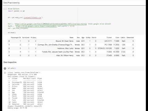 Belajar Data Preprocessing Youtube