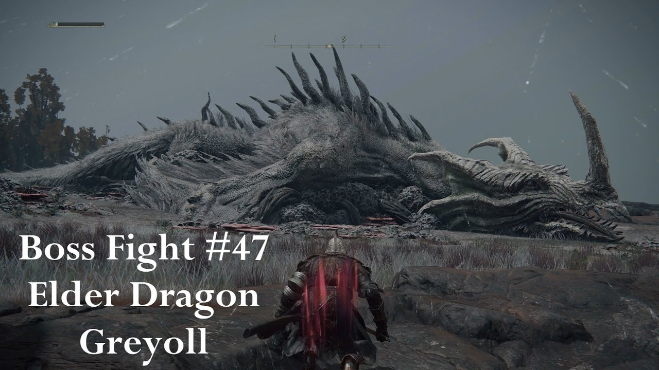 Elden Ring 47th Boss Fight Elder Dragon Greyoll Youtube