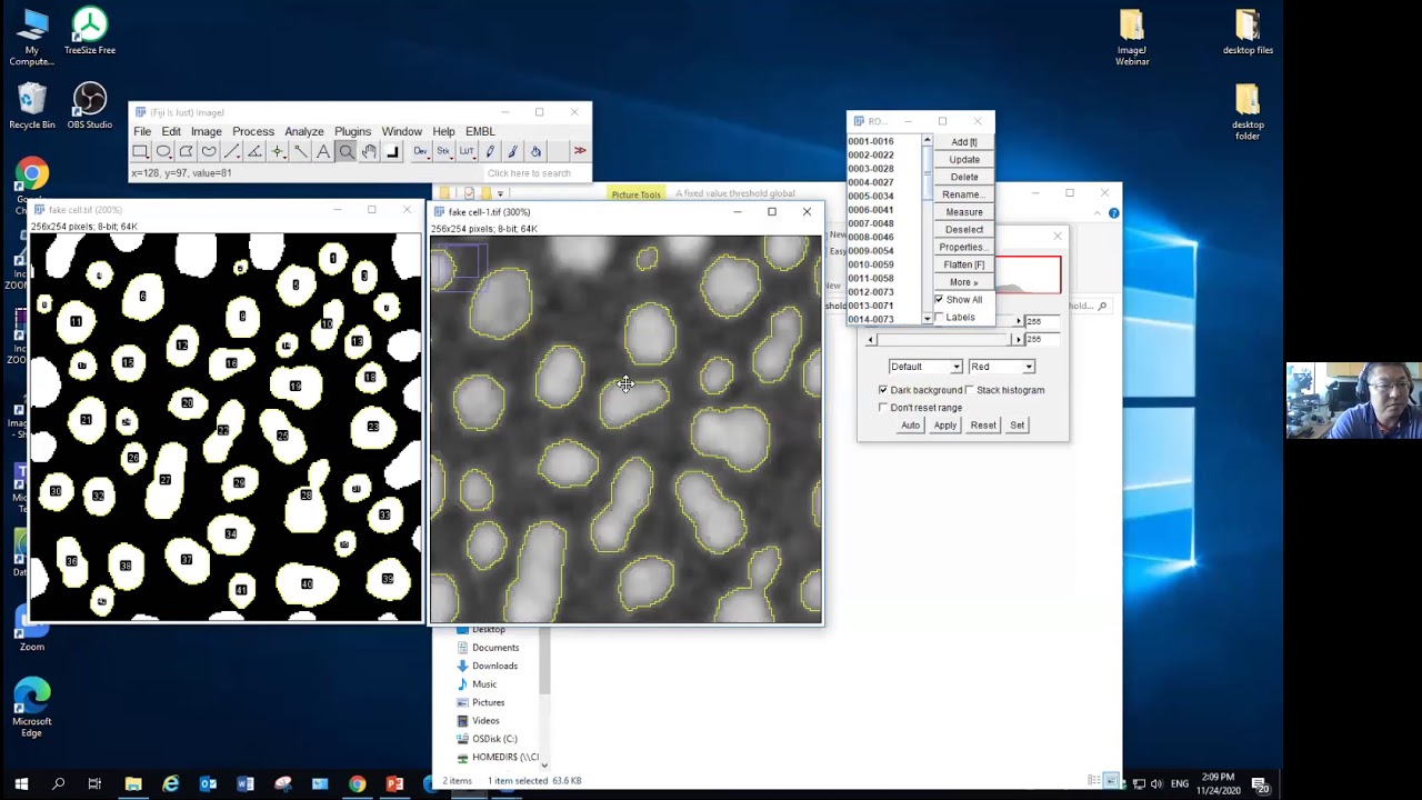 Introduction To Image Analysis With Imagej Segmentation Threshold