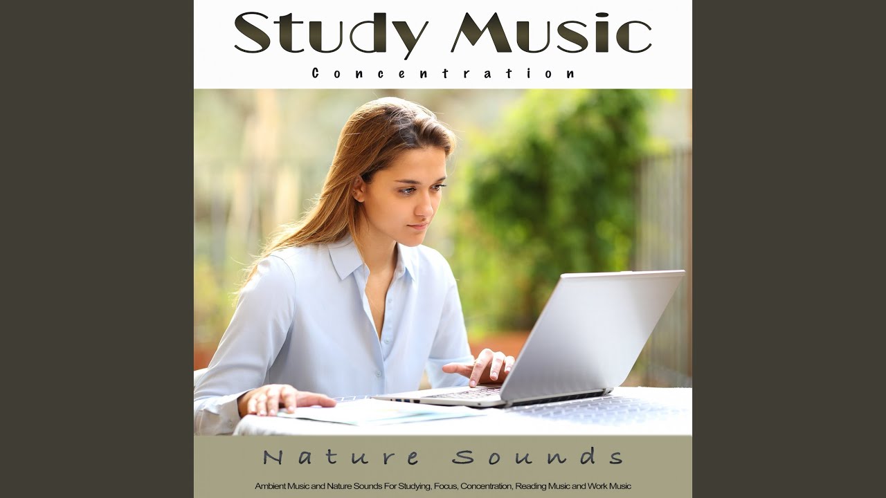 Study Youtube Music