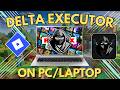 Delta Executor For Pc How To Download Install Delta Executor For Roblox ...