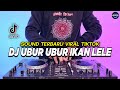 Dj Ubur Ubur Ikan Lele X Brazil Terbaru Viral Tiktok 2025 Dj Killua ...