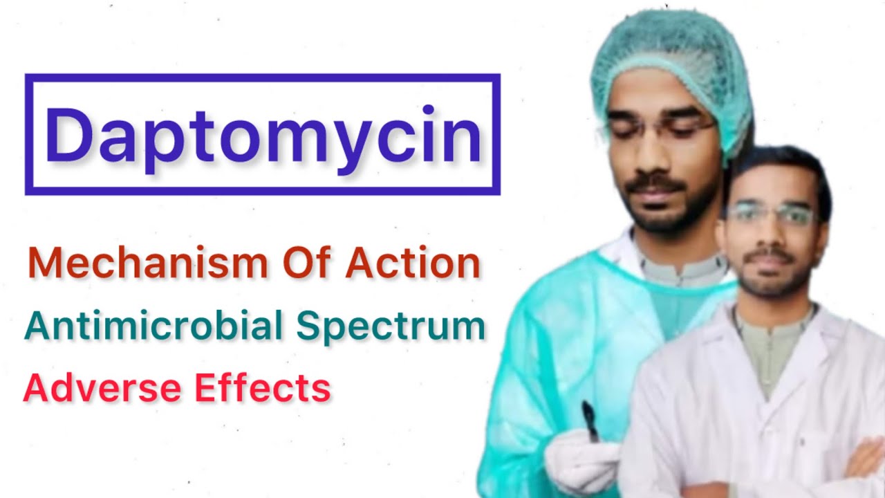 Daptomycin Mechanisms Of Action Antimicrobial Spectrum Adverse