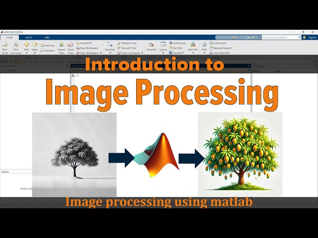 1000 Image Processing Using Matlab With Source Code Matlab Image