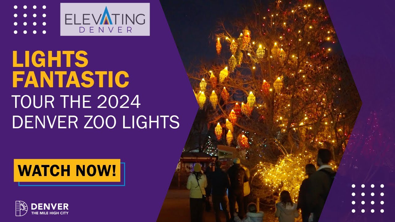 Zoo Lights 2024 Elevating Denver Youtube