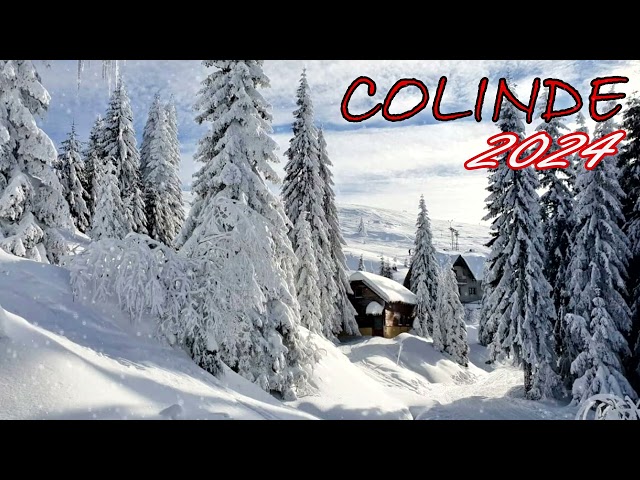 Hai crestini sa colindam - Cele mai frumoase colinde 2023