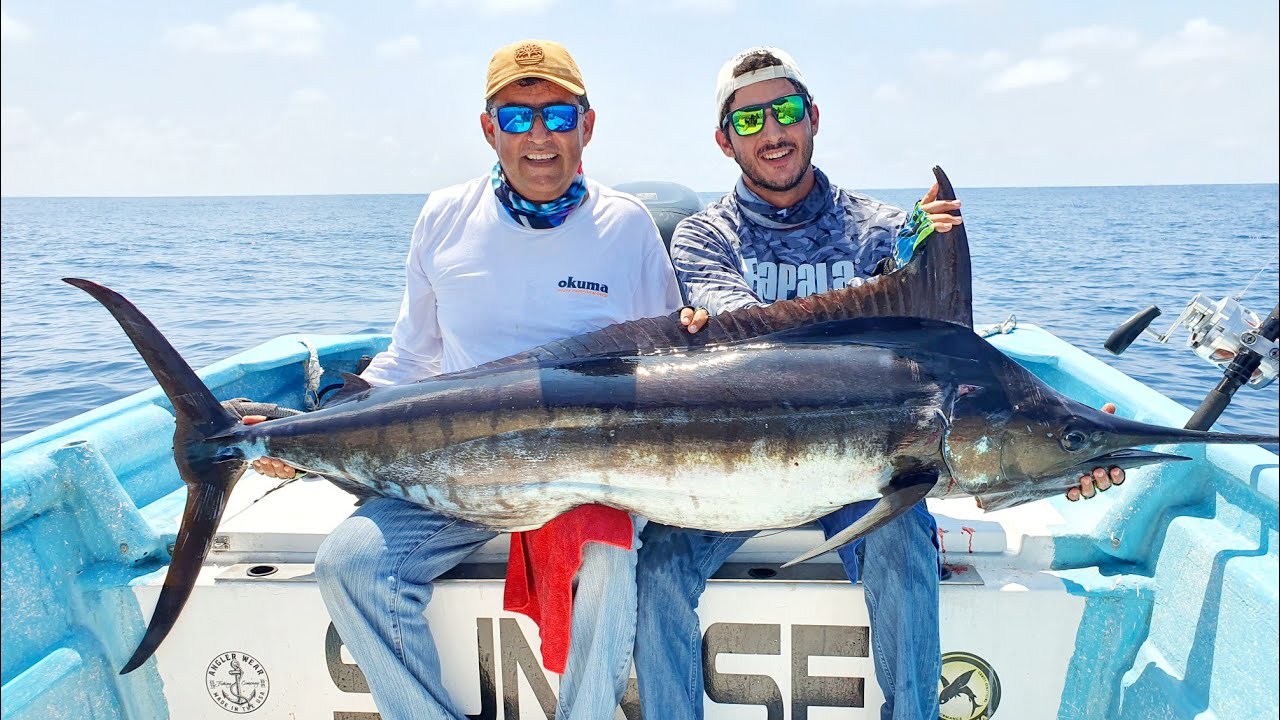 Pesca De Marlin Azul Youtube