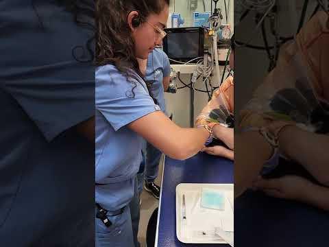 Cephalic Iv Catheter Placement Youtube