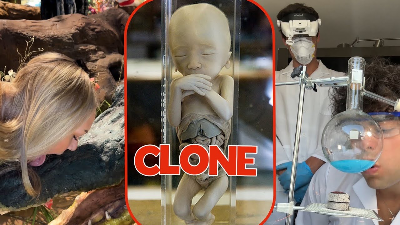 Cloning In Labs At Matthew Mendelsohn Blog