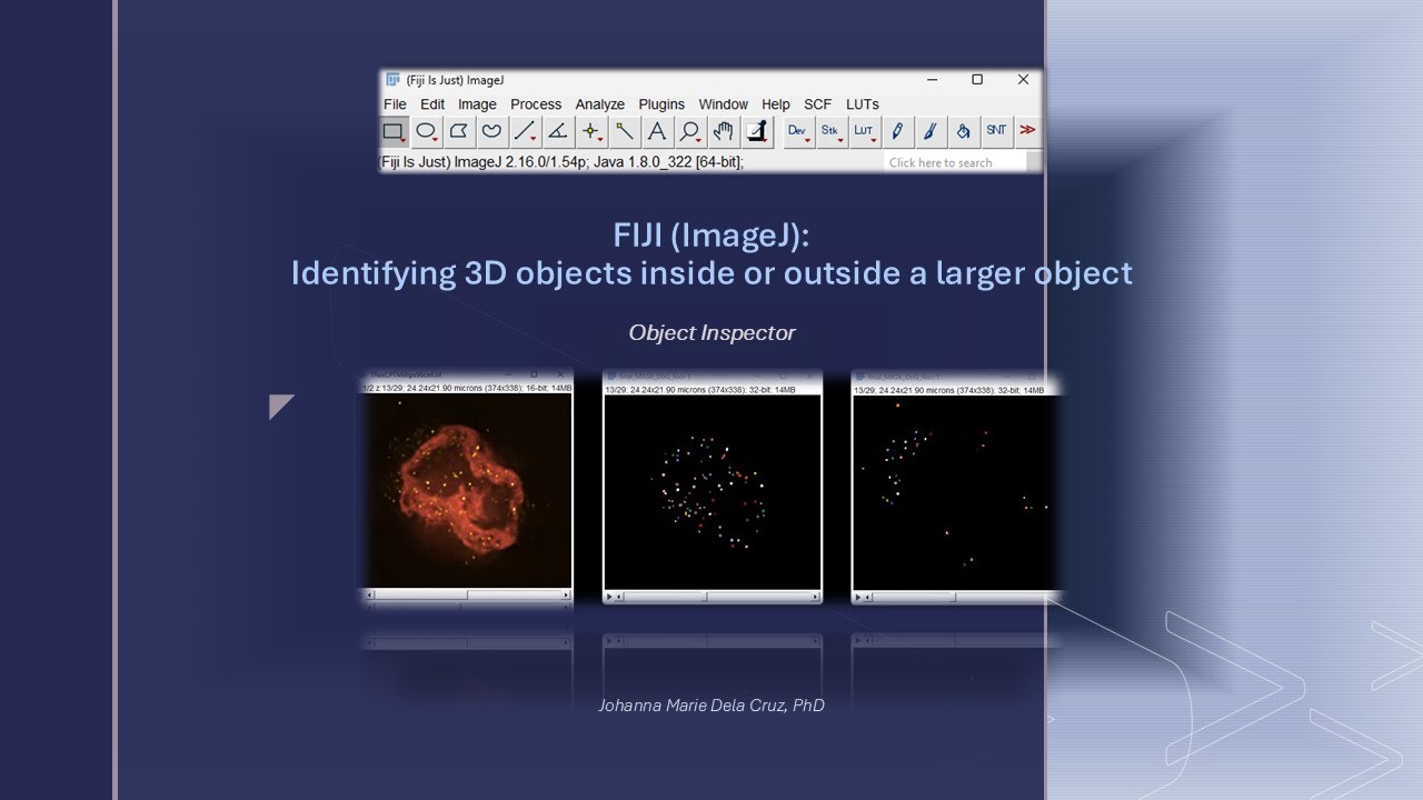 Fiji Imagej Identifying 3d Objects Inside Or Outside A Larger Object
