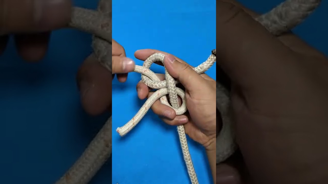 How To Tie Knot Rope Rope Trick For You Shorts Ep 1212 Youtube