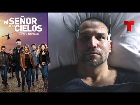 Cómo Ver El Señor De Los Cielos 7 Online Por Telemundo Temporada 7