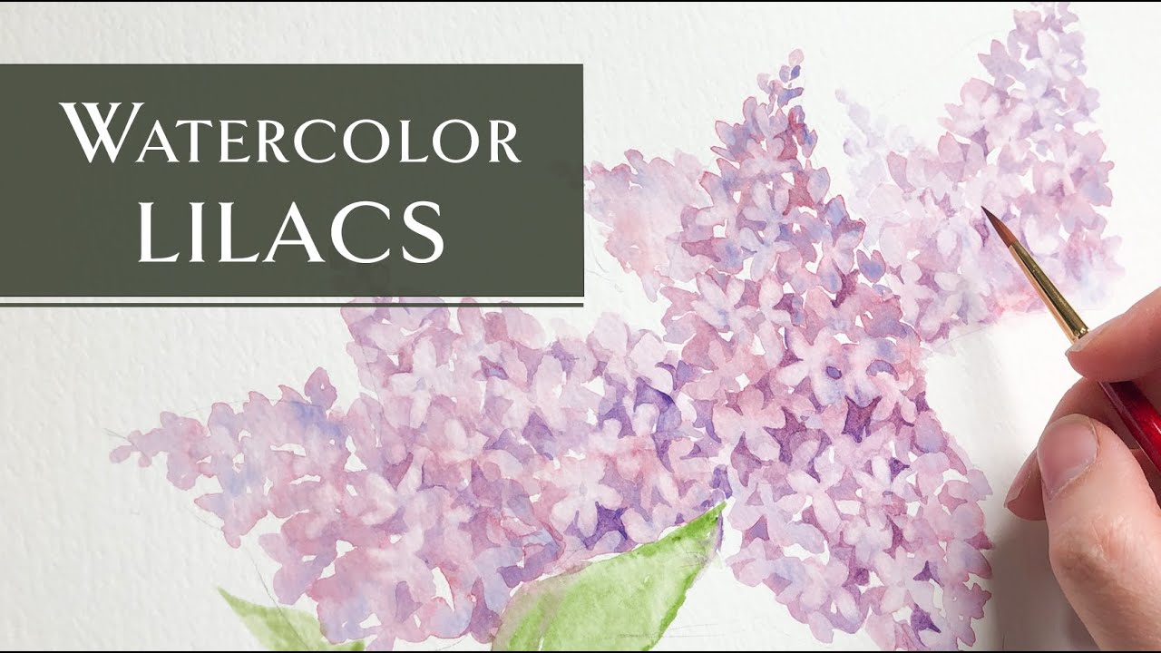 Easy How To Watercolor Lilac Tutorial Oddly Satisfying Painting Youtube