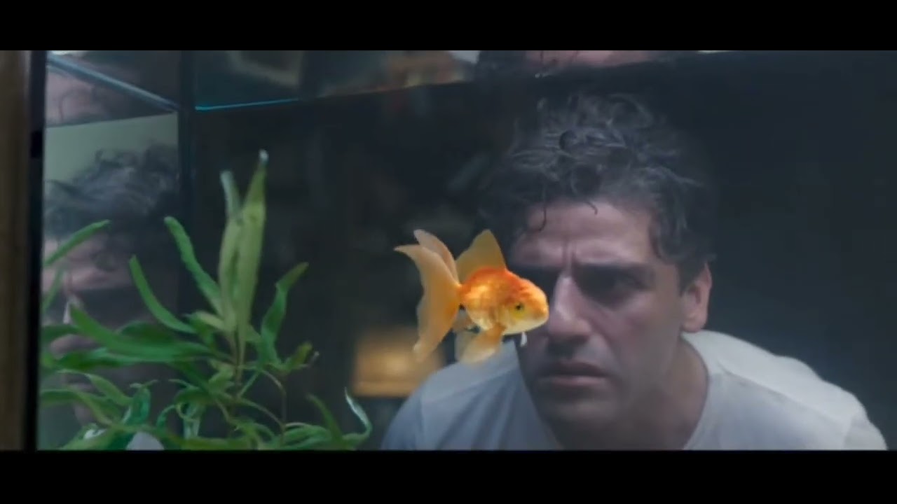 Fish Youtube