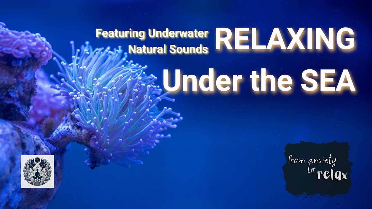 Underwater Asmr For Relaxation Deep Sleep No Talking Youtube