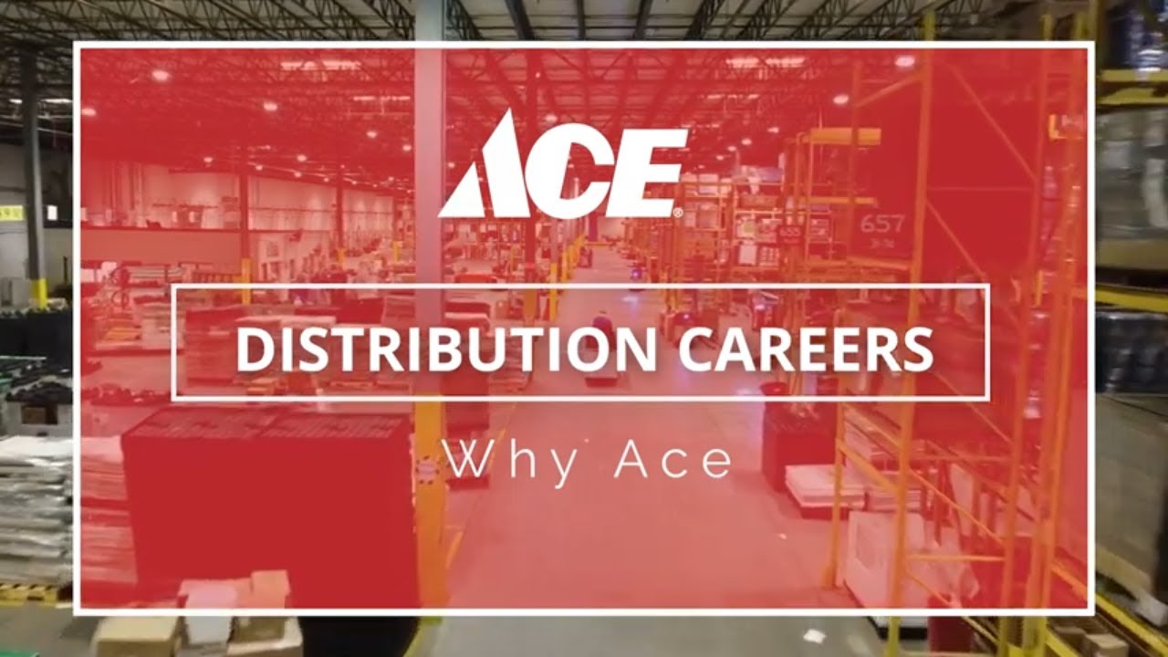 Ace Distribution Careers Why Ace Youtube