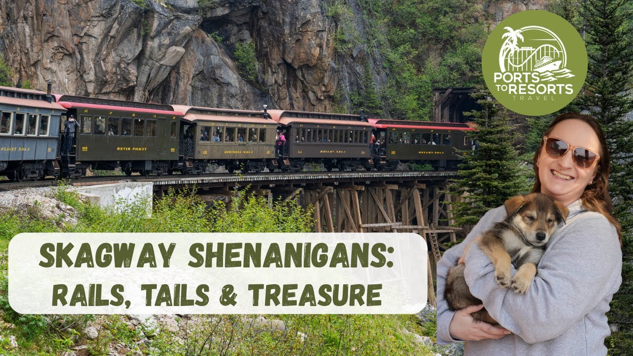 Adventures In Skagway Ak White Pass Train Gold Panning Sled Dog