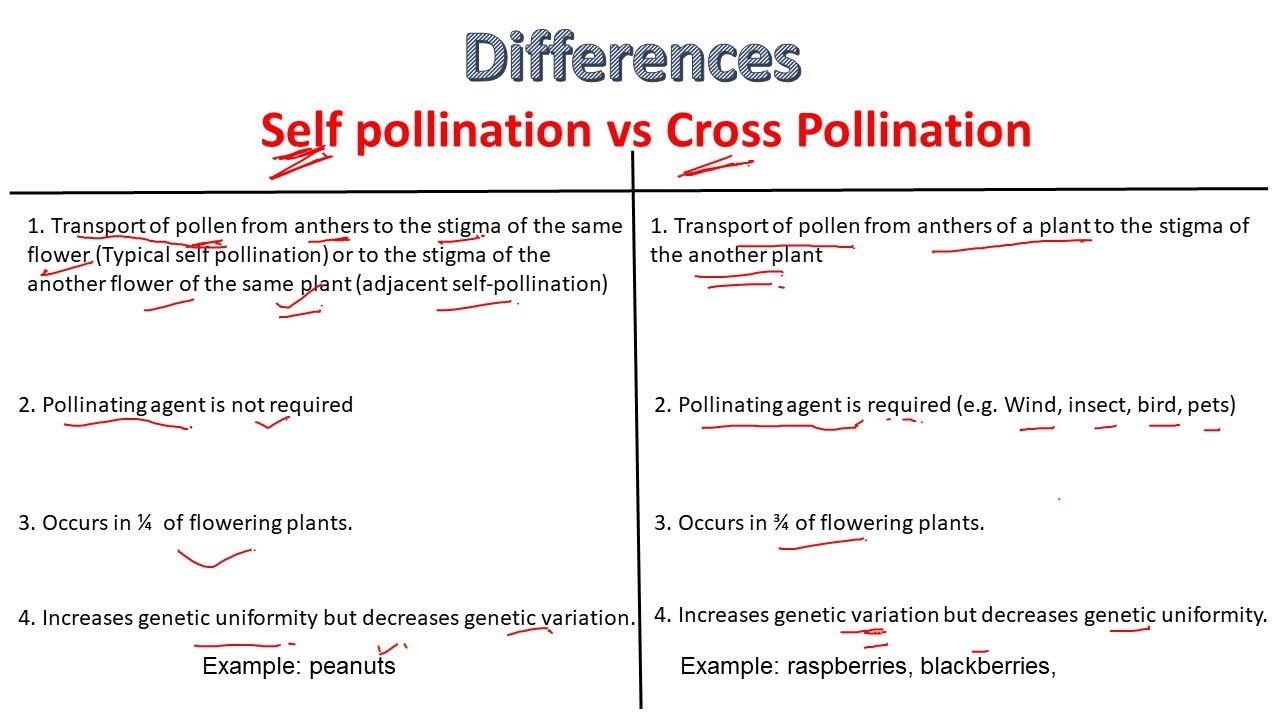 Cross Pollination Self Pollination Difference