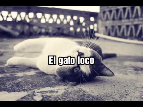 El Gato Loco Jaime Sabines Voz Mireya Rosua Youtube