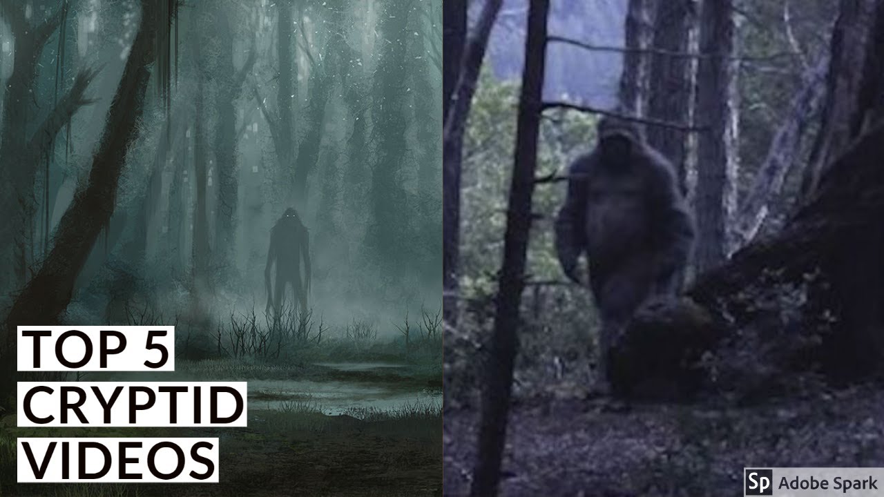 Top 5 Cryptid Videos Episode 2 Youtube