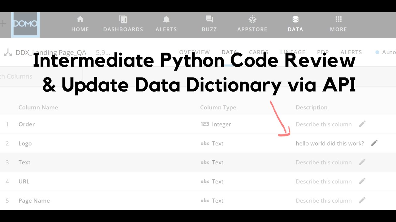 Intermediate Python Code Review Domo Data Dictionary Api Youtube