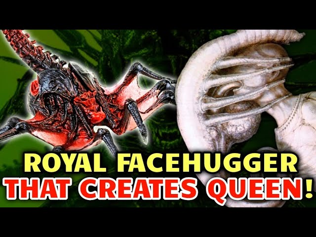 Queen Facehugger Scene The Bs Reasons Disney Won T Make The Xenomorph