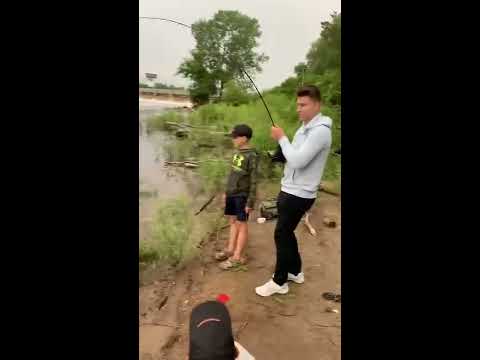 Rescuing Snapping Turtle Shorts Turtle Youtube