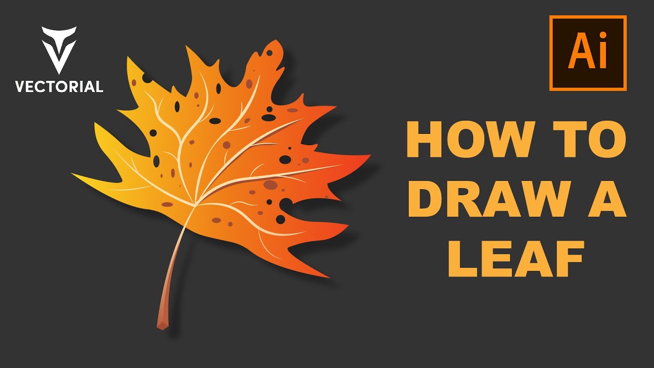 How To Draw A Autumn Leaf In Adobe Illustrator Youtube