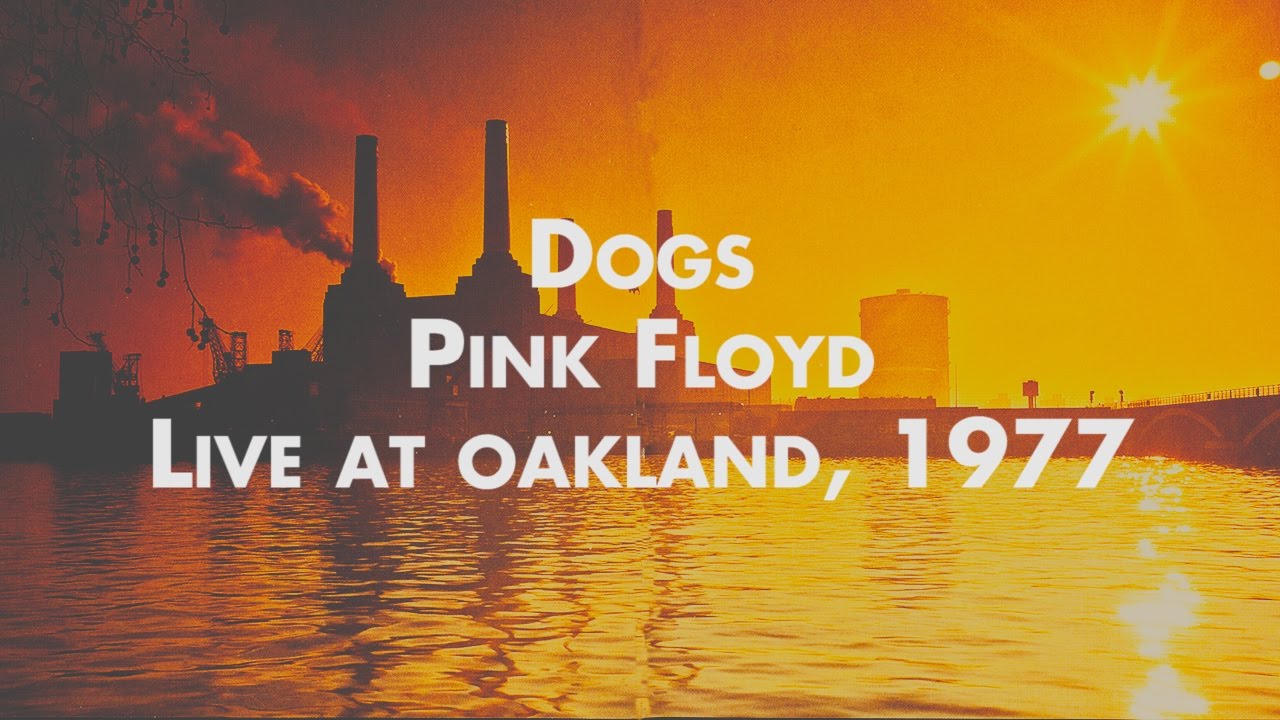 Pink Floyd Dogs Live At Oakland Youtube