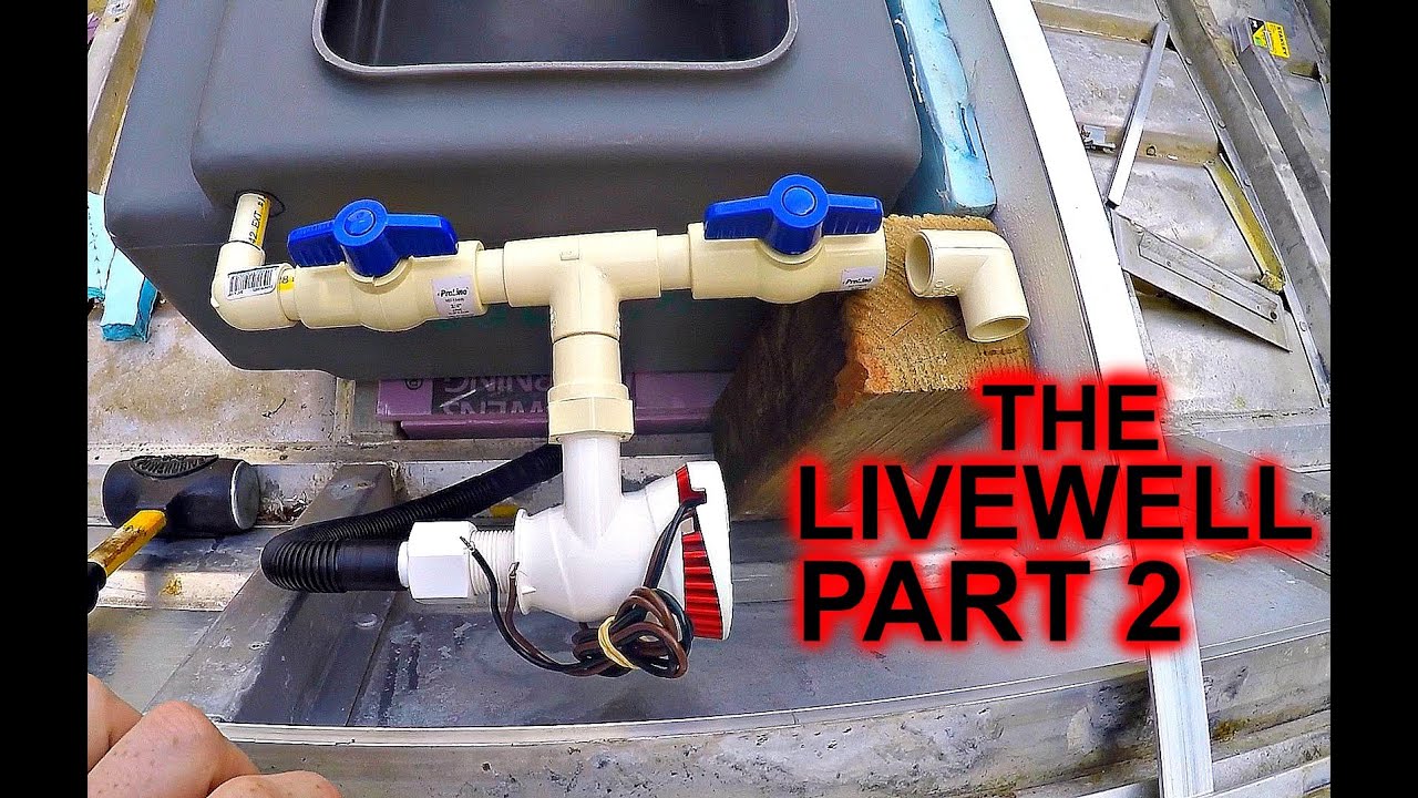 The Livewell Part 2 Youtube