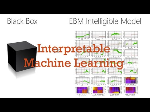 Interpretable Machine Learning Youtube
