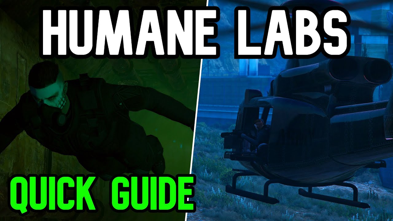 Gta Humane Labs Raid Payout At Tracy Garza Blog