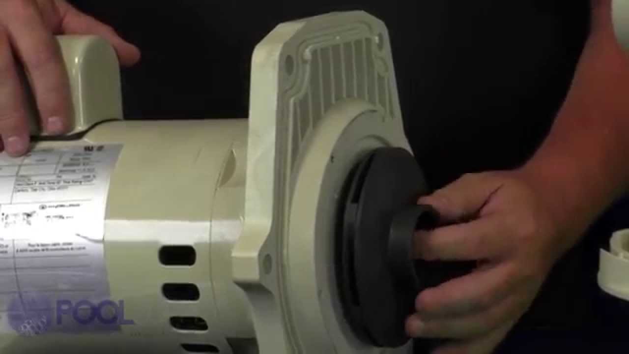Installing Pentair Superflo Pool Pump At Elijah Gannon Blog