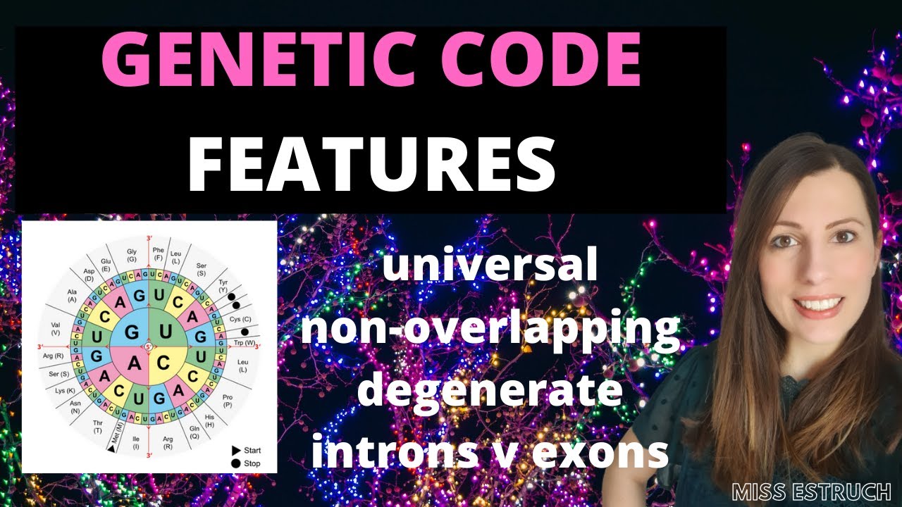 Features Of The Genetic Code A Level Biology Degenerate Non