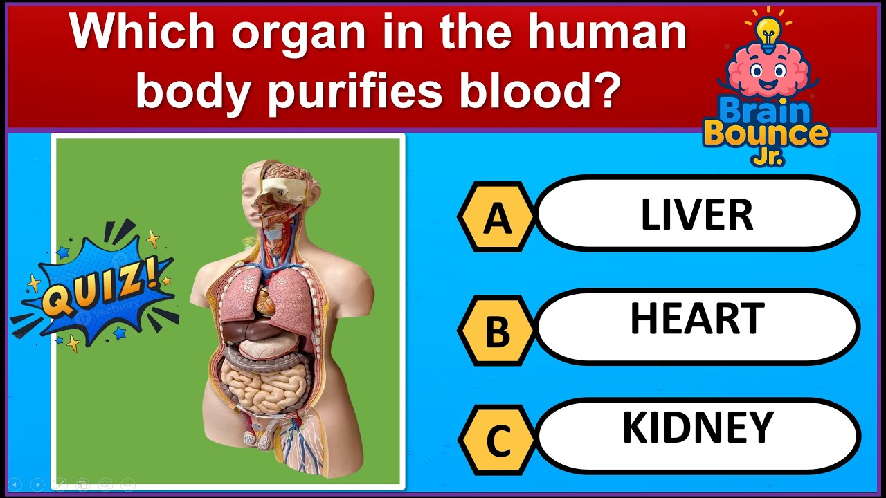 25 Gk Quiz Questions Brain Teaser Kids General Knowledge Quiz