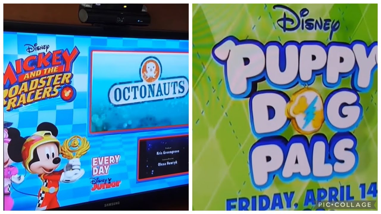 Disney Junior Commercial Break March 2017 Youtube