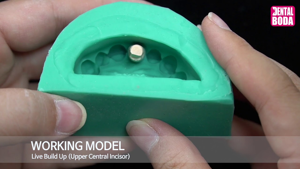 Working Model Youtube