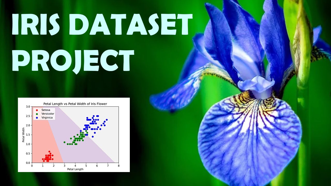 Iris Dataset Project Fast Forward Version Machine Learning Using