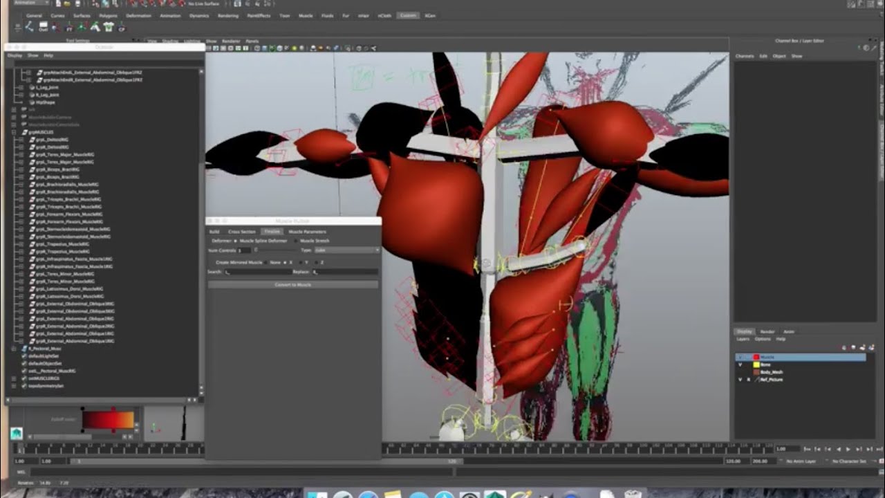 Character Muscle In Maya 1 Of 2 Youtube