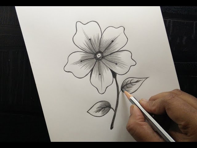 Easy Pencil Flower Drawing Step By Step Infoupdate Org