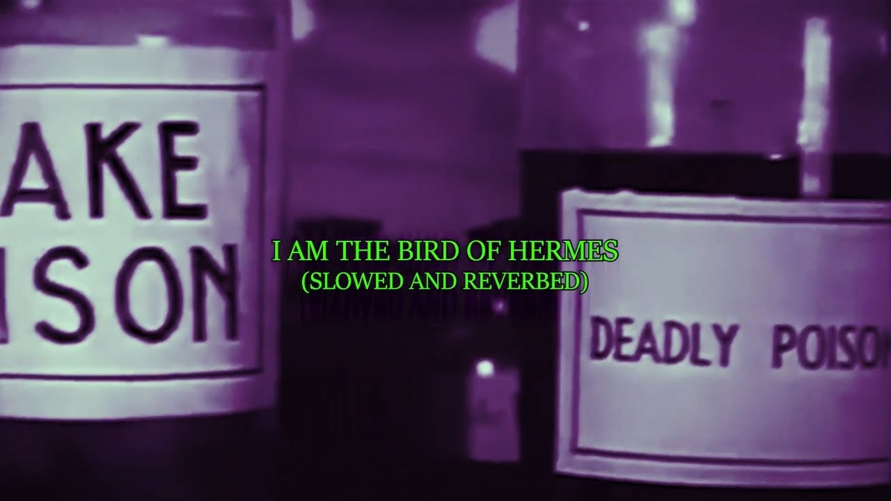 I Am The Bird Of Hermes Slowed And Reverbed Carecrow Song Lyrics