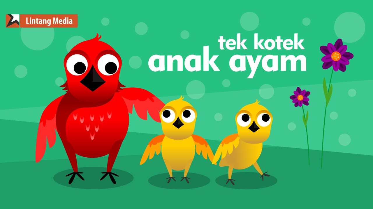 Anak Ayam Tek Kotek Lintang Media Youtube Music