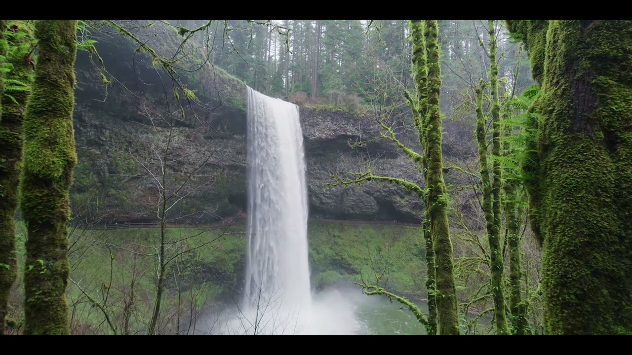 4k Waterfall Nature Video Youtube