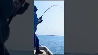 Strike Mancing Mania Mantap Popping Sportfishing Ultralightfishing ...