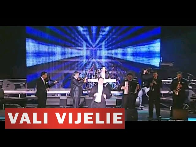 Download VALI VIJELIE - Si daca viata mea o vrei (Live)