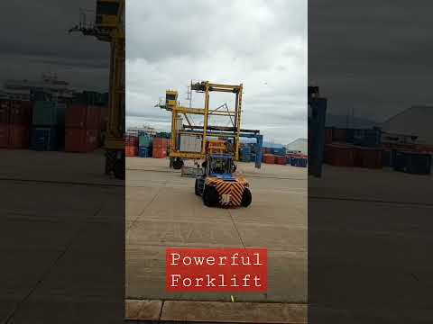 Powerful Forklift Shorts Youtube