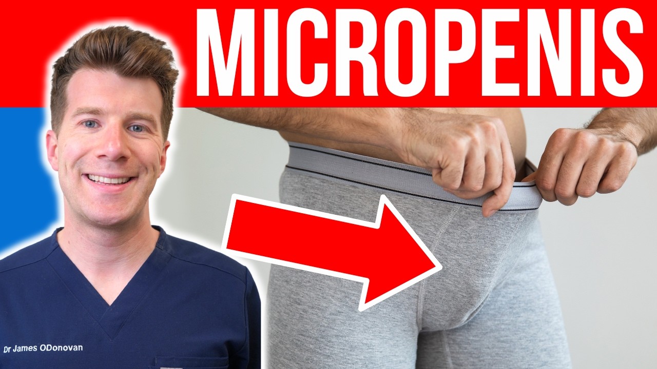 Doctor Explains Micropenis Definition Causes Size And Treatment