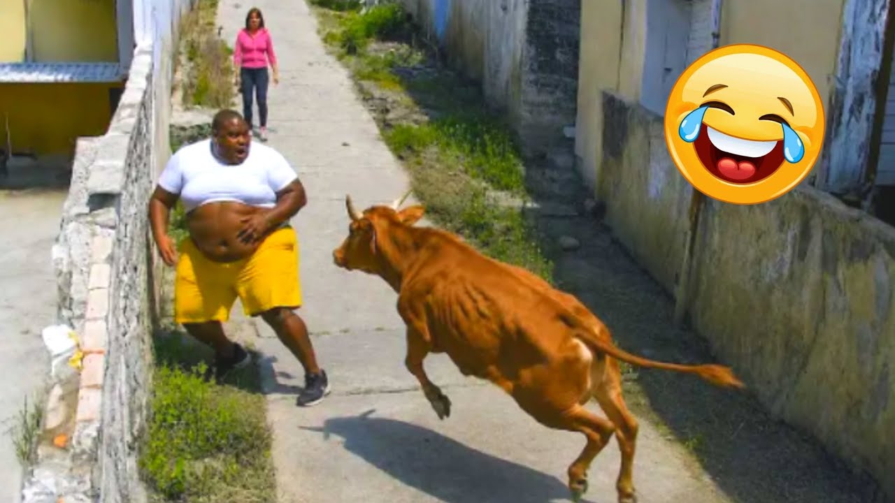 Try Not To Laugh ёяшж100 Best Memes Funny Comedy Video Full Funny