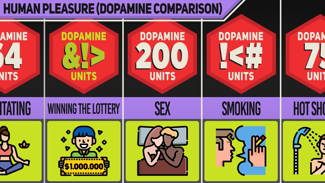 Dopamine Comparison Human Pleasure Youtube
