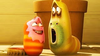 Larva Bubblegum Hat Cartoon Movie Cartoons For Children Larva